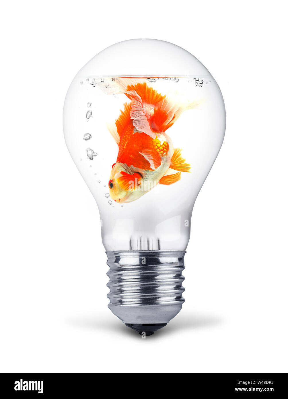 Cartoon goldfish swimming in water hi-res stock photography and images ...