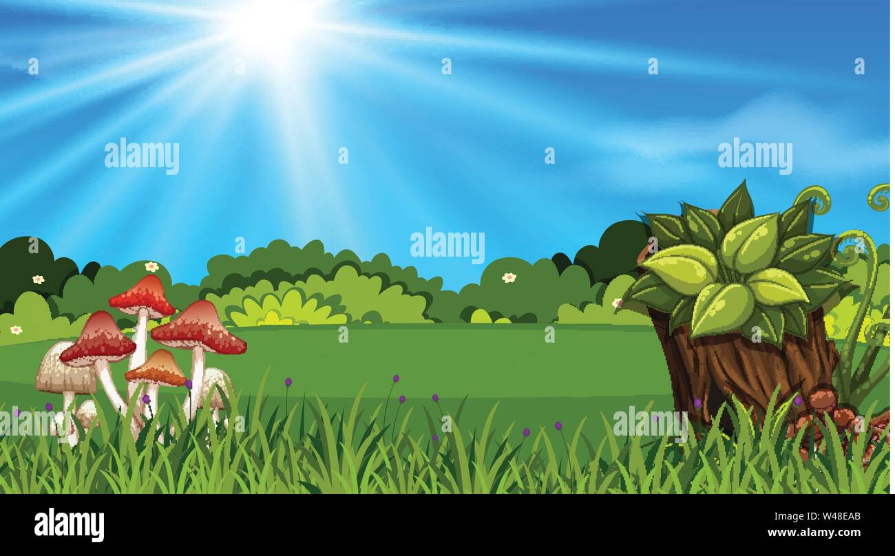 Outdoor nature park scene illustration Stock Vector Image & Art - Alamy