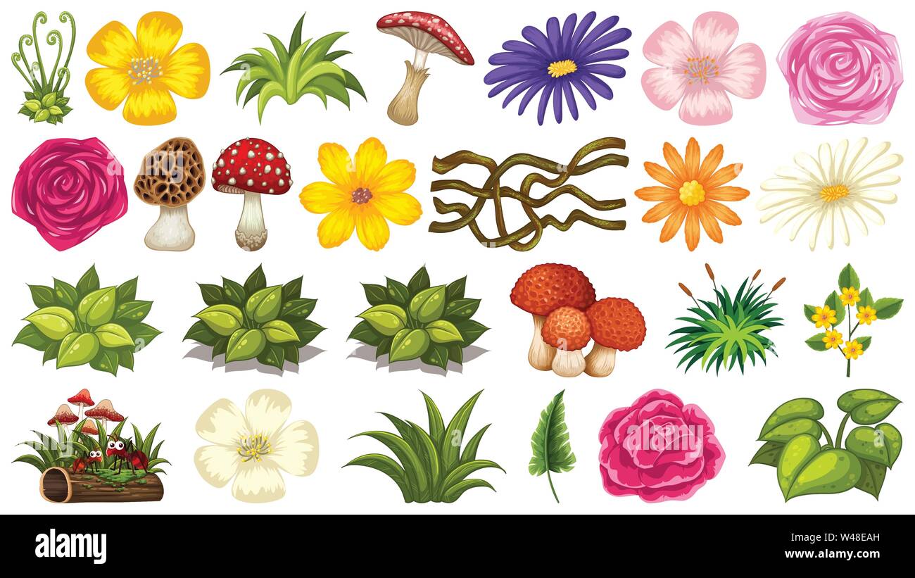 Set of differnt nature objects illustration Stock Vector Image & Art ...