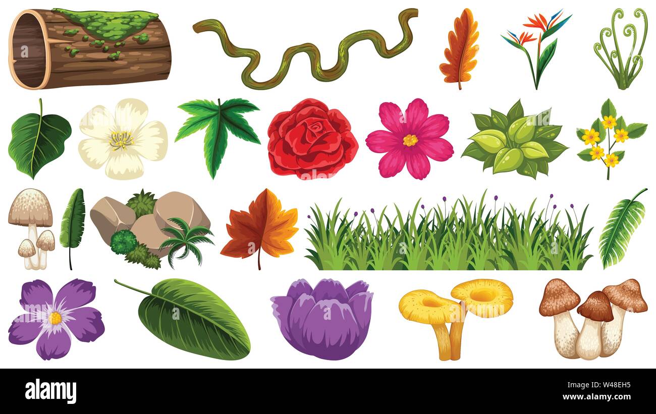 Set of different nature elements illustration Stock Vector Image & Art ...