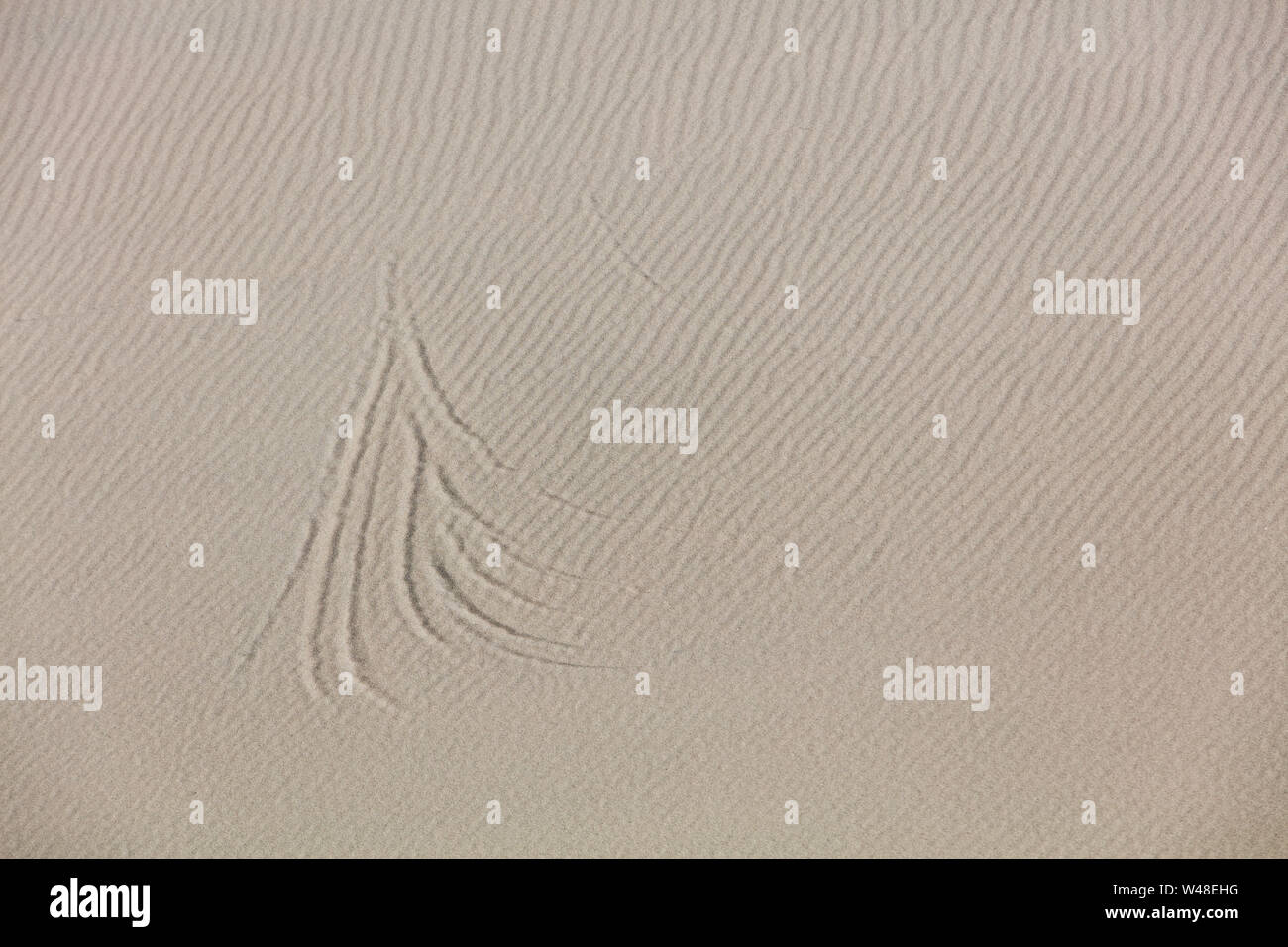 Raking sand hi-res stock photography and images - Alamy