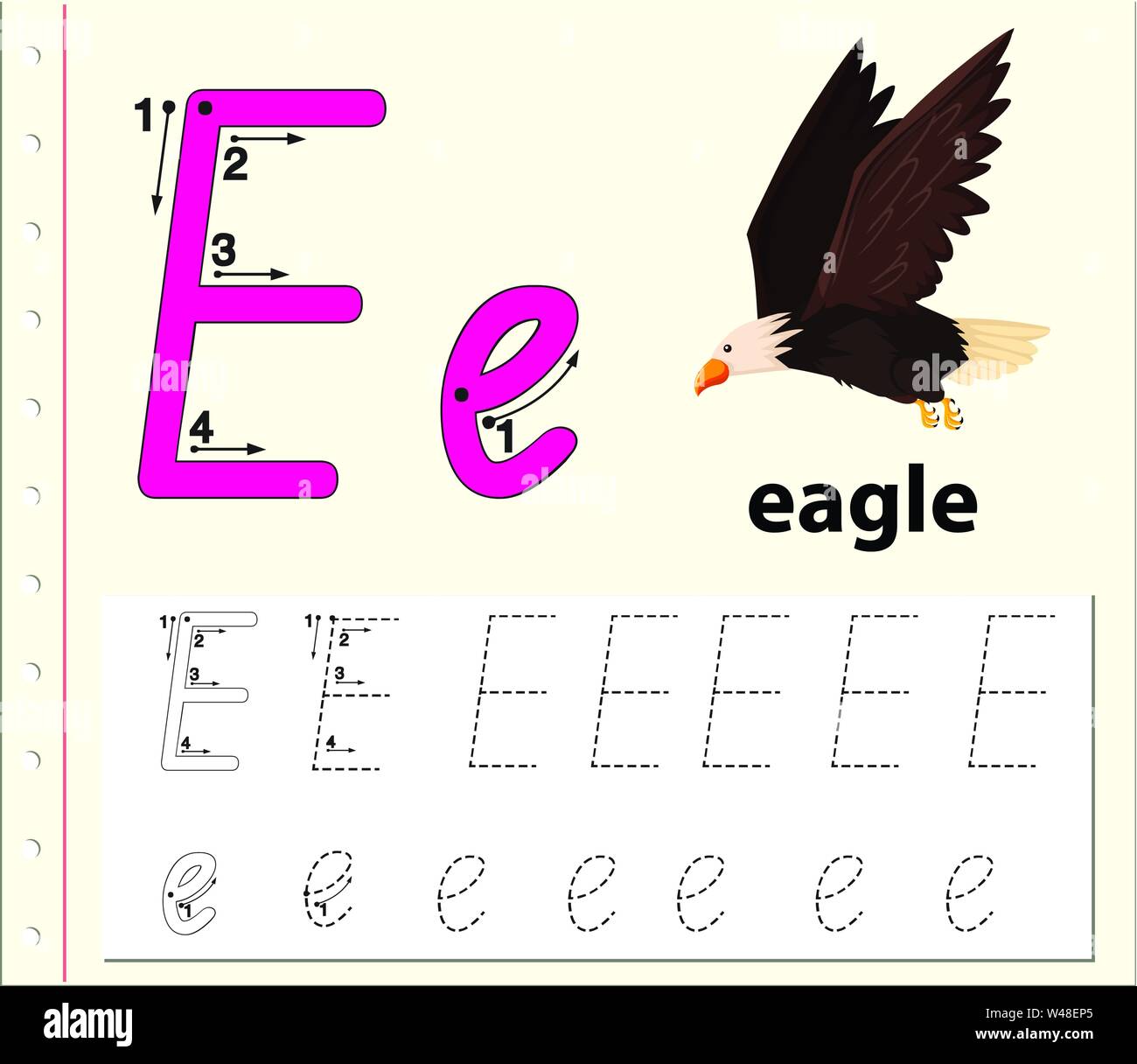 Trace the letter E illustration Stock Vector Image & Art - Alamy