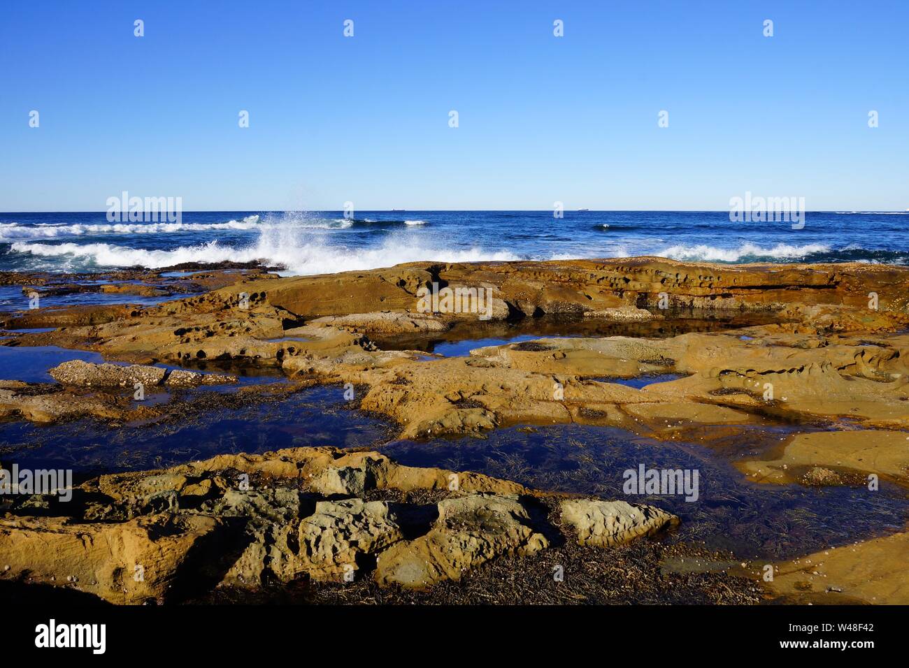 Bellambi Point rock pools Stock Photo - Alamy