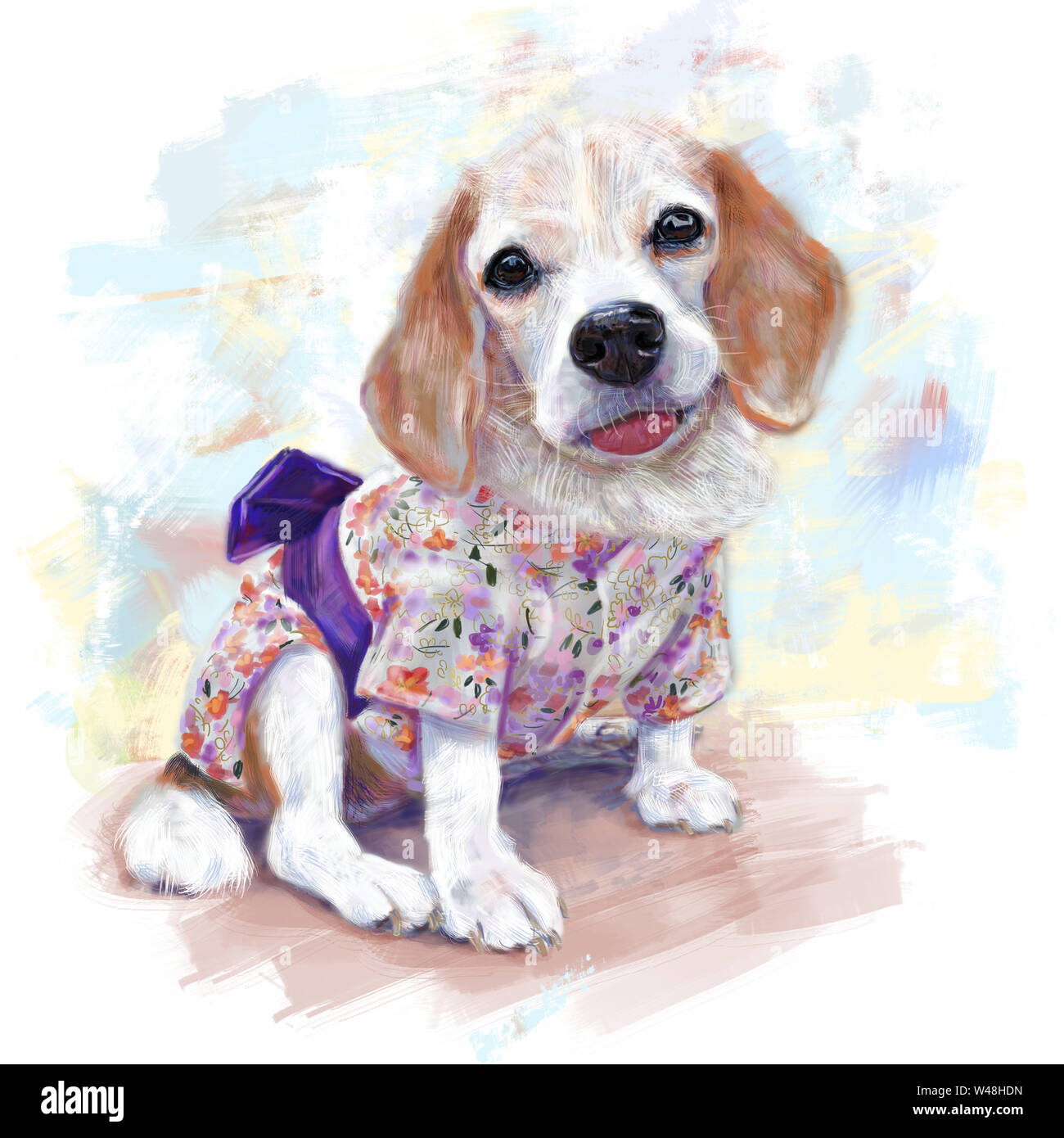 Adorable beagle wear cute costumes, japan style, on sitting pose with ...