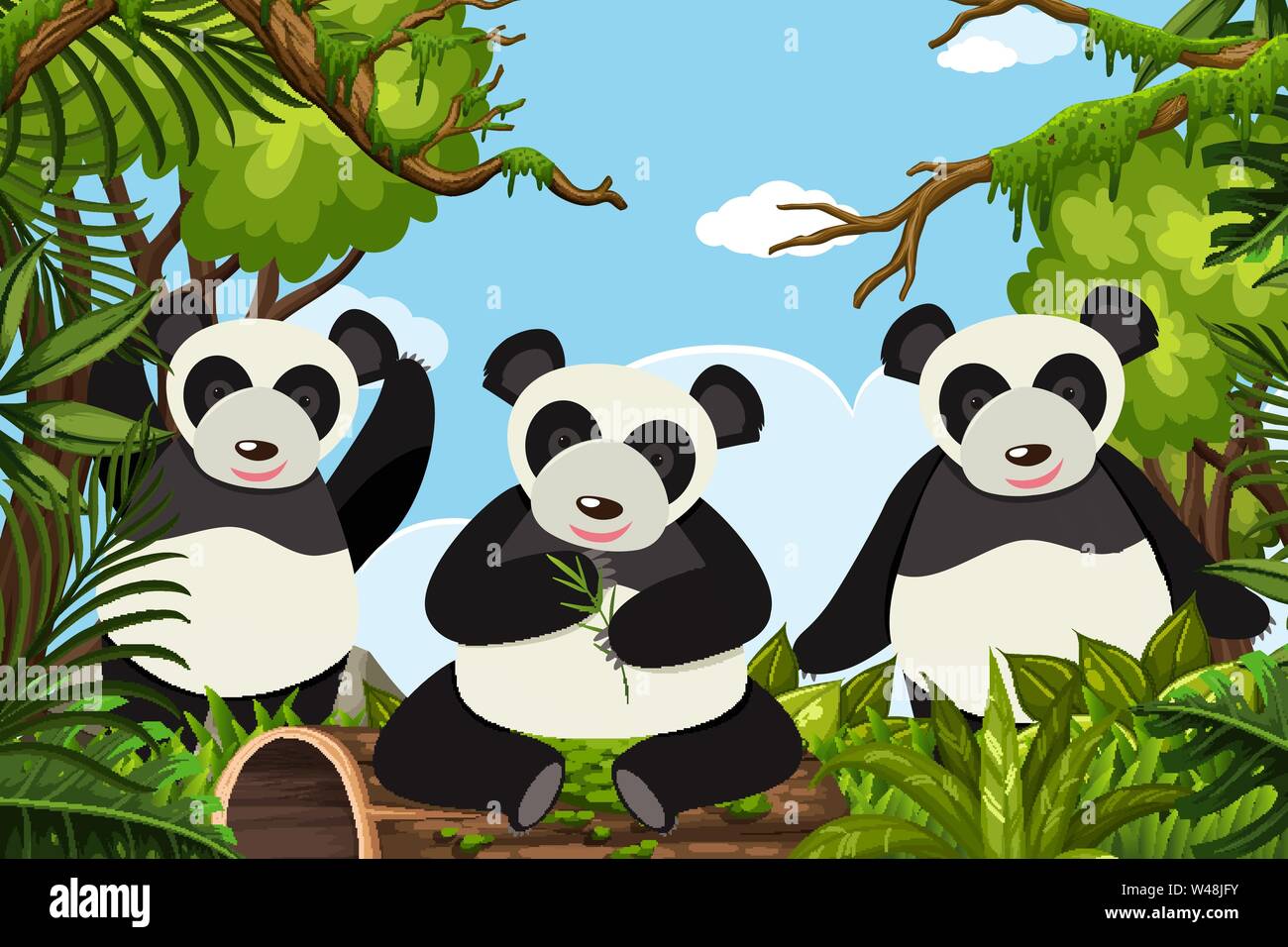 Pandas in jungle scene illustration Stock Vector Image & Art - Alamy