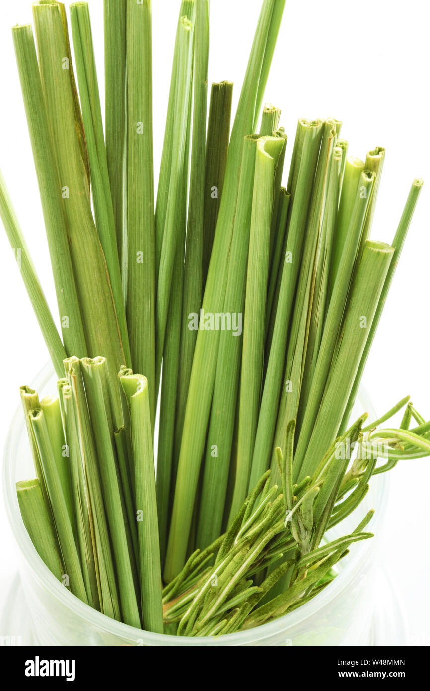 Close up of lemon grass with rosemary Stock Photo - Alamy
