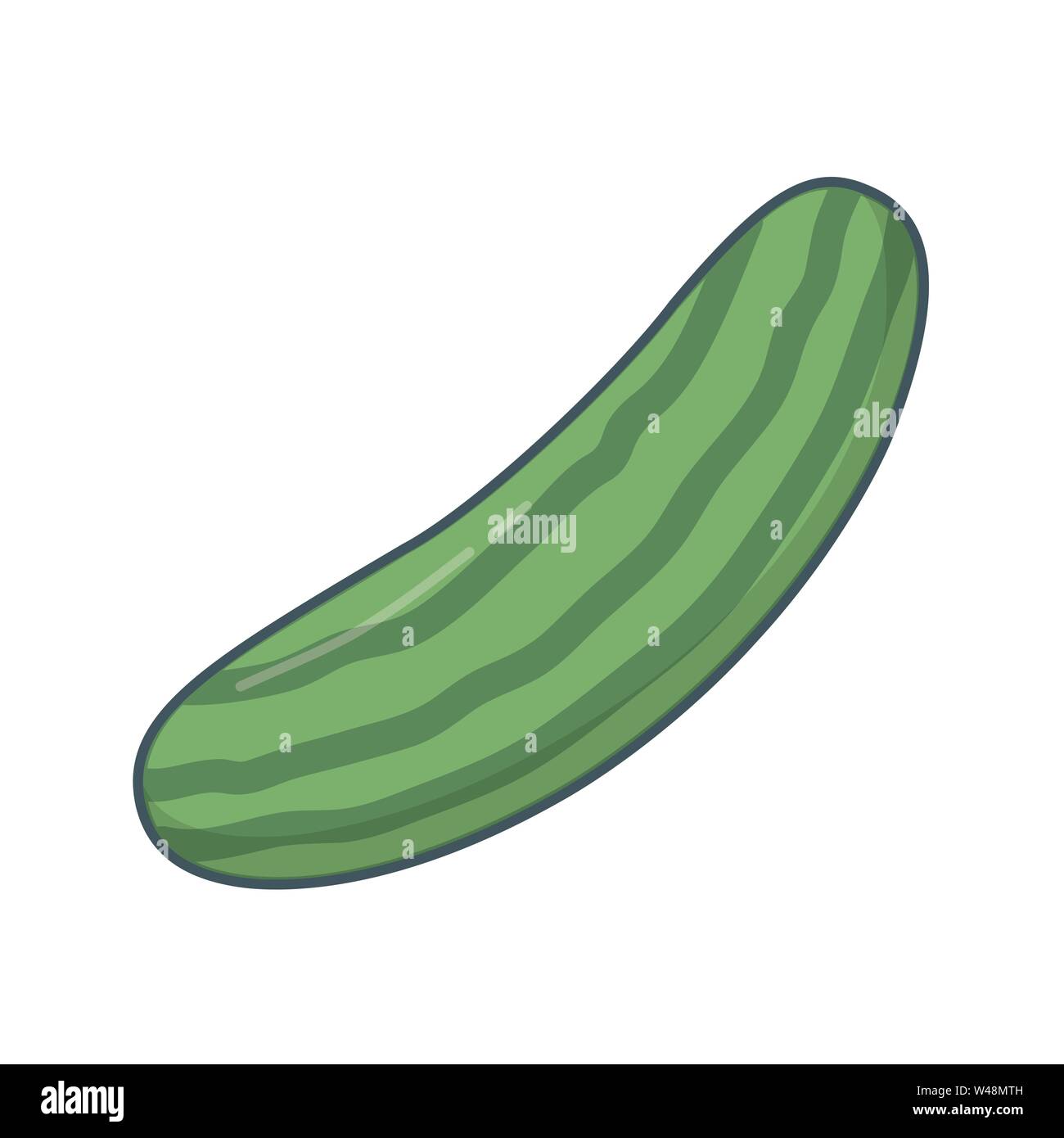 delicious healthy meal vegetable cucumber cartoon vector illustration ...