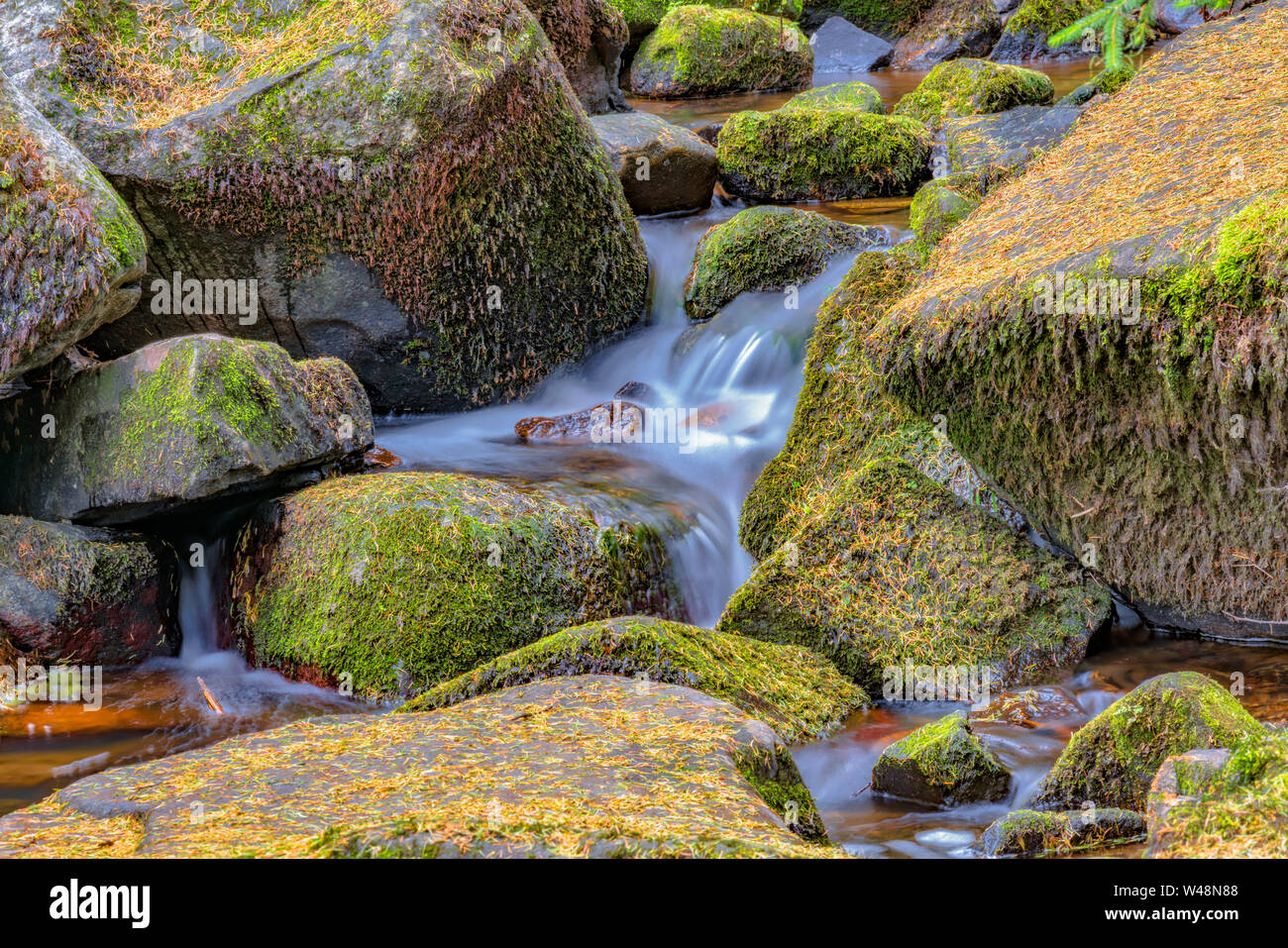 Waterscape, green hi-res stock photography and images - Alamy