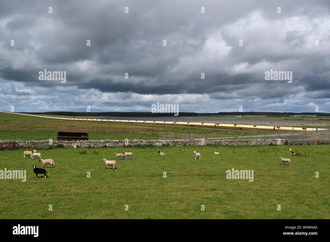 Subsea 7 pipeline fabrication s hi-res stock photography and images - Alamy