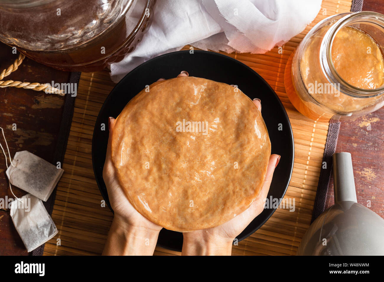 Scoby with Kombucha tea popular fermented healthy drink natural high ...