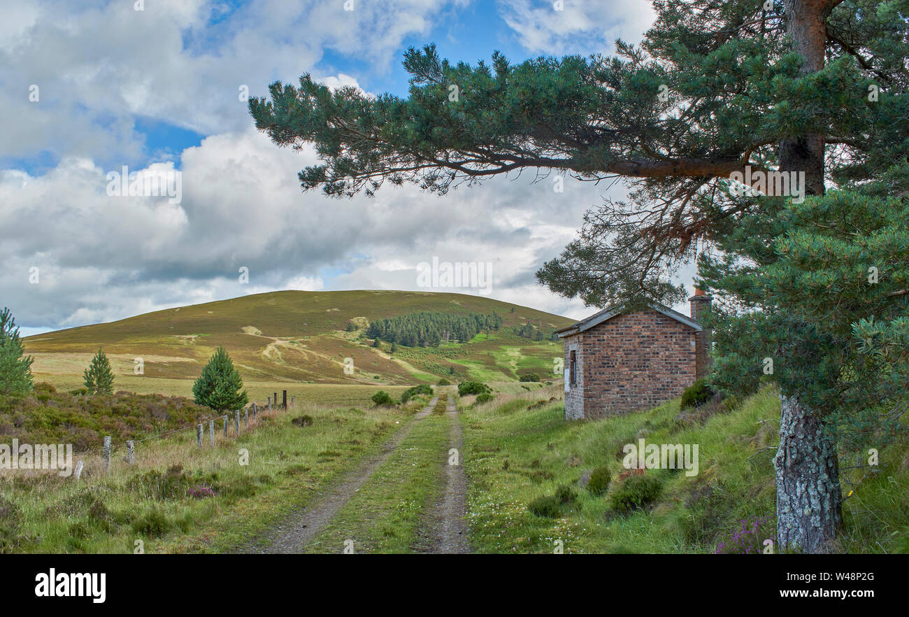 DAVA WAY TRAIL MORAY SCOTLAND IN SUMMER ABANDONED BRICK HUT THE KNOCK ...