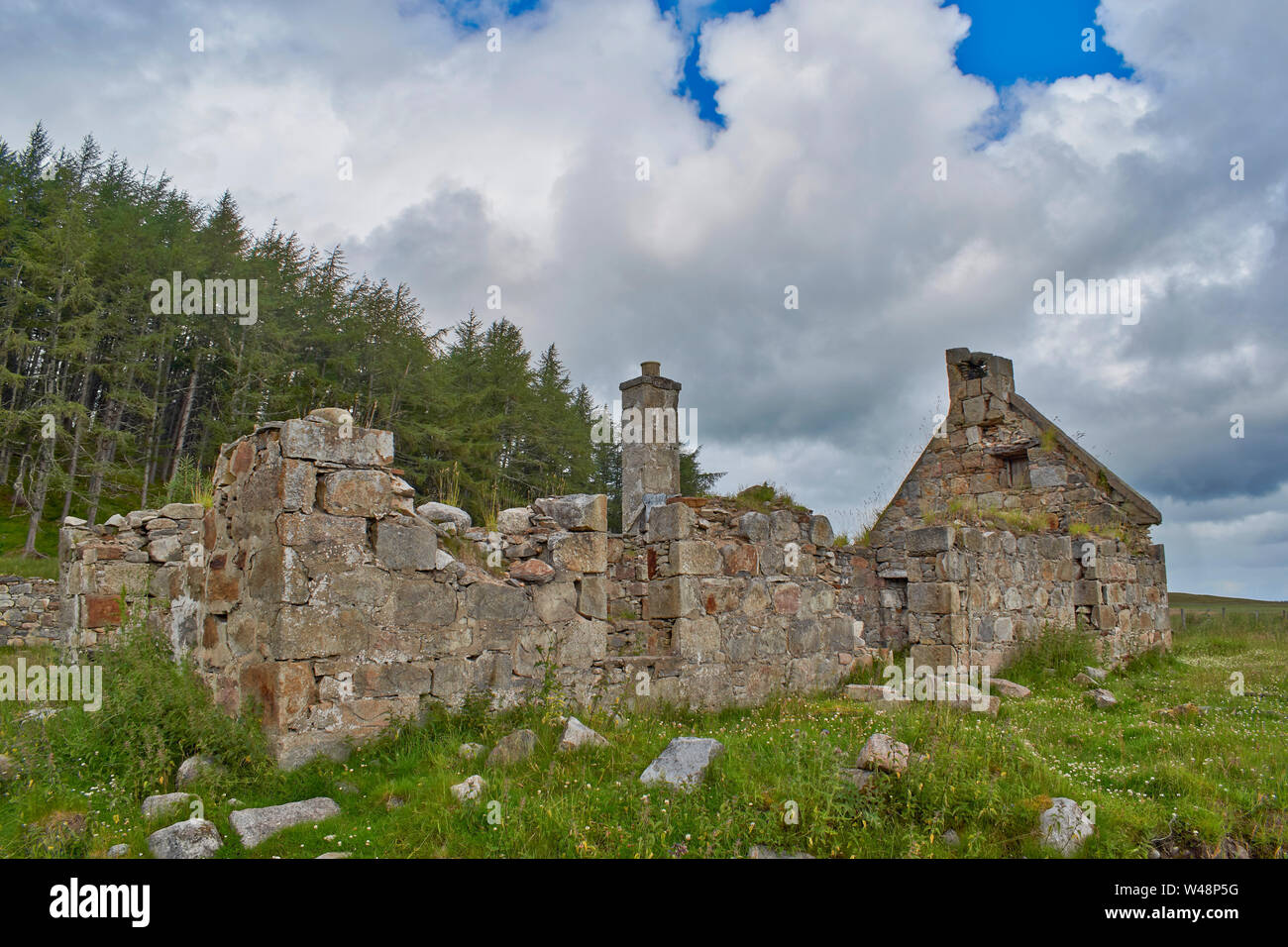 DAVA WAY TRAIL MORAY SCOTLAND IN SUMMER BOGENY AND THE STONE WALLS OF ...