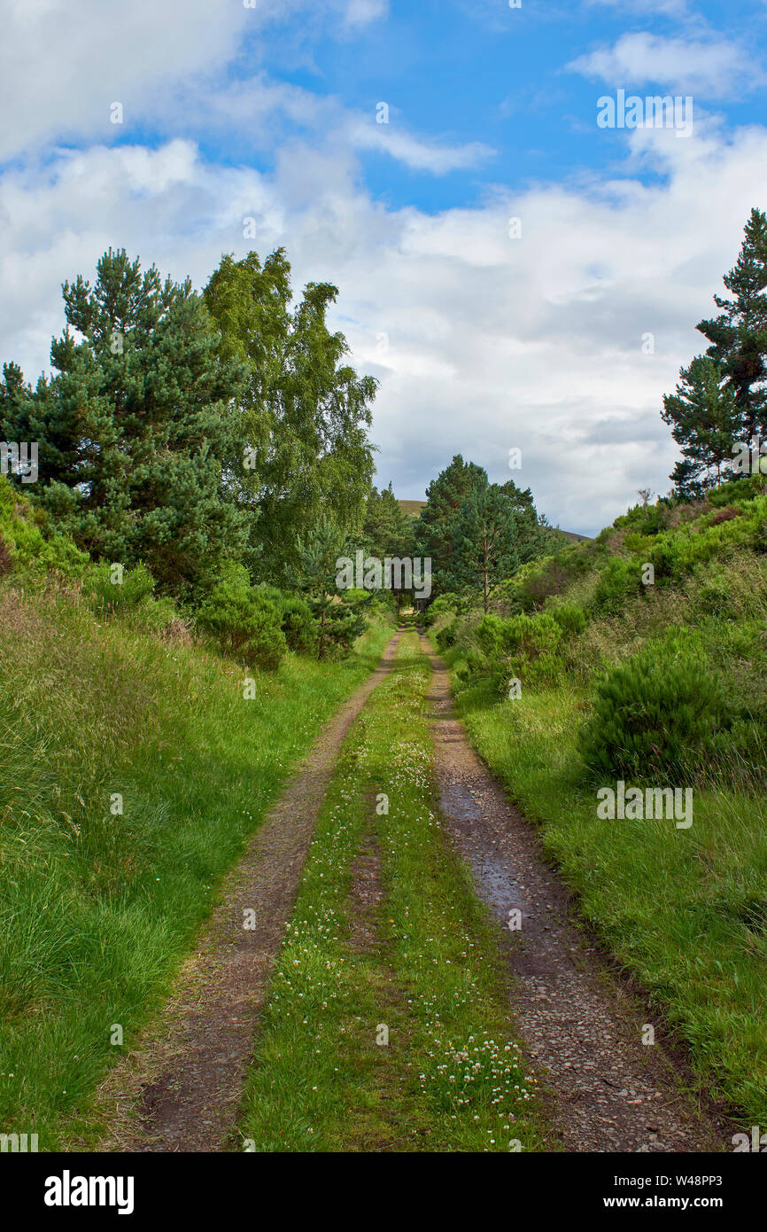 DAVA WAY TRAIL MORAY SCOTLAND IN SUMMER THE FOOTPATH NEAR DAVA Stock ...
