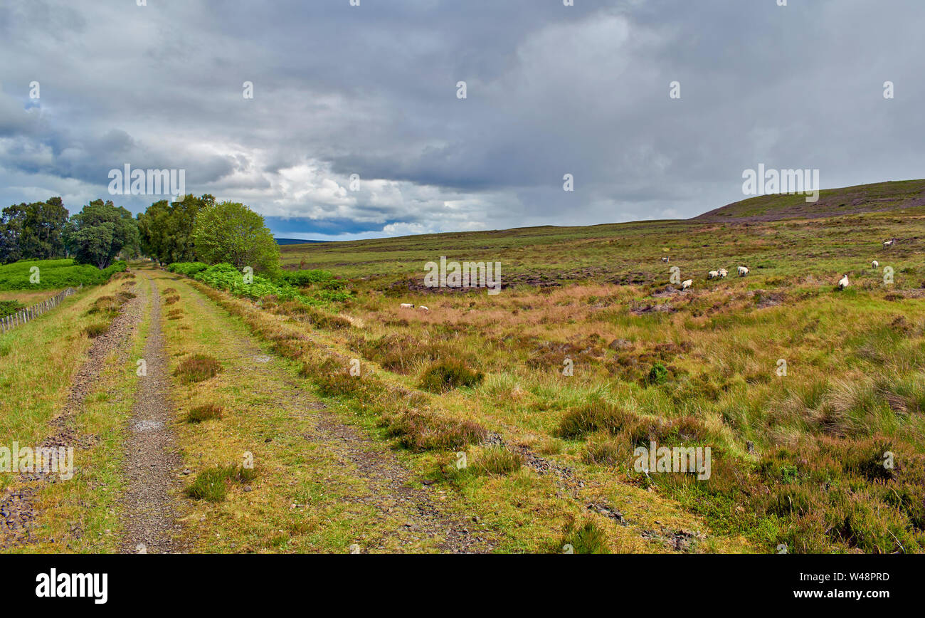 Dava way hi-res stock photography and images - Alamy