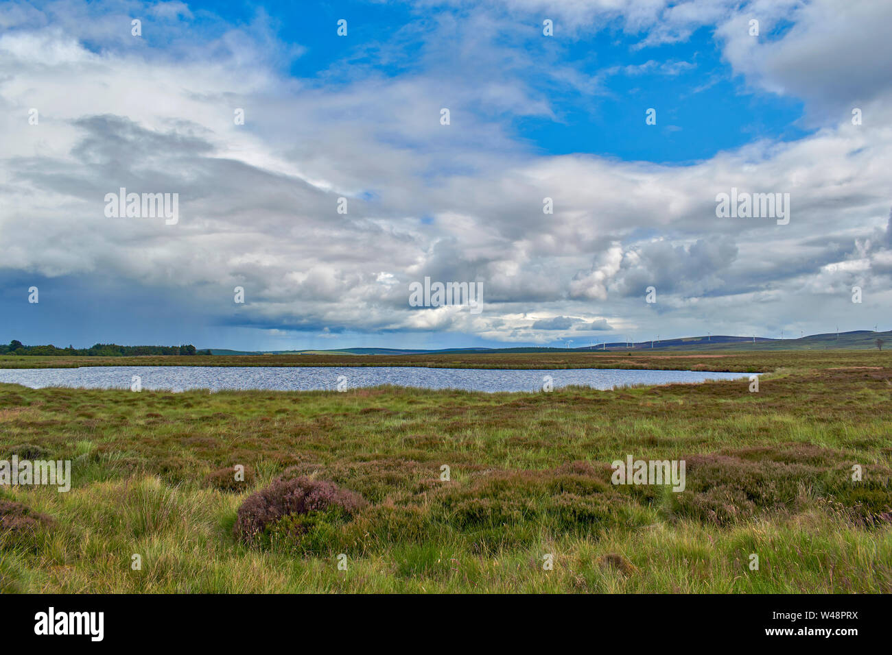 Settlement house movement hi-res stock photography and images - Alamy