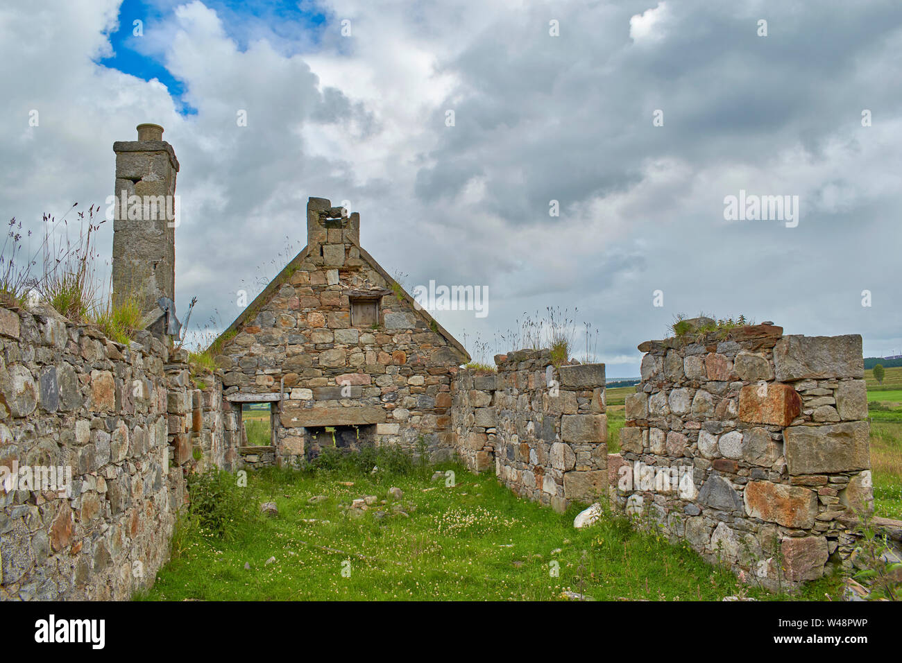 DAVA WAY TRAIL MORAY SCOTLAND SUMMER BOGENY AND GRASS GROWING ON THE ...
