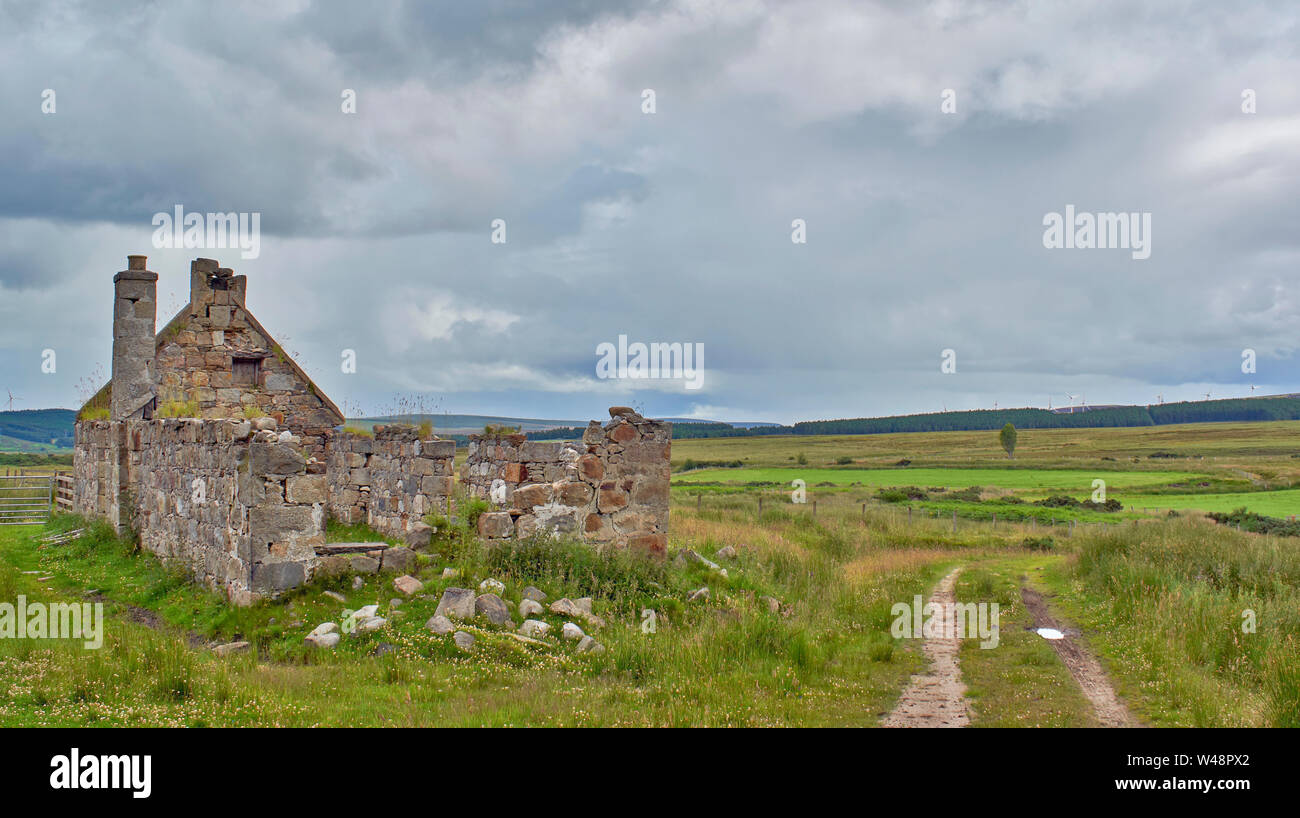 DAVA WAY TRAIL MORAY SCOTLAND SUMMER BOGENY AND THE STONE WALLS OF THE ...