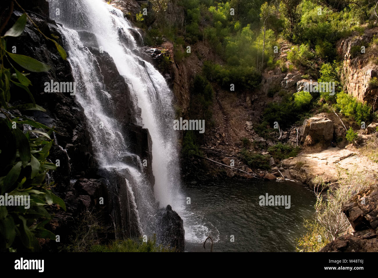 Mckenzie river national wild and scenic river hi-res stock photography ...