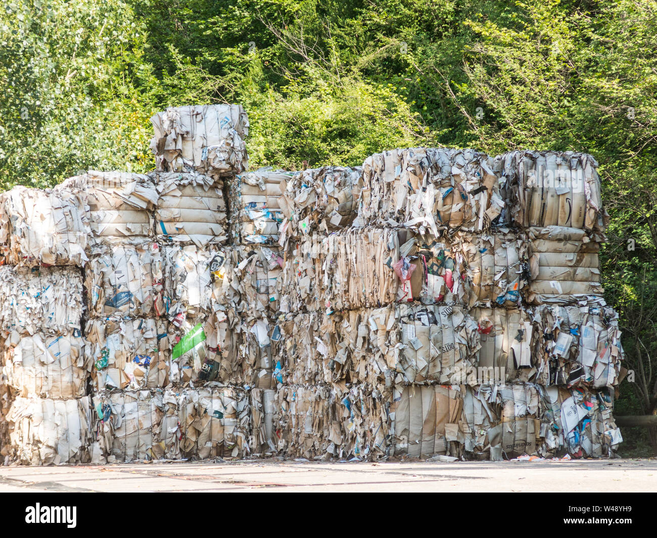Recycled paper factory. Bales of cardboard, boxes and papers prepared ...