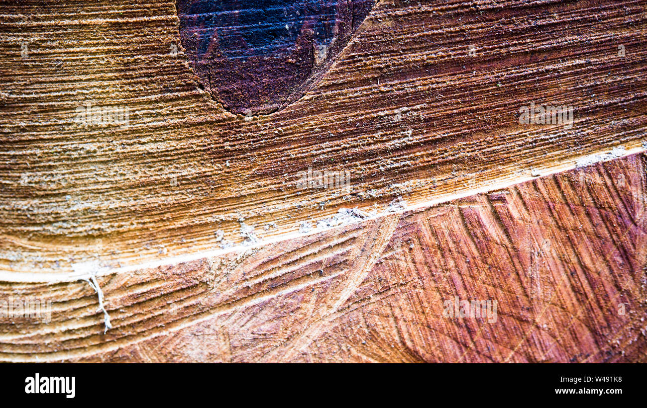 closeup of a log Stock Photo - Alamy