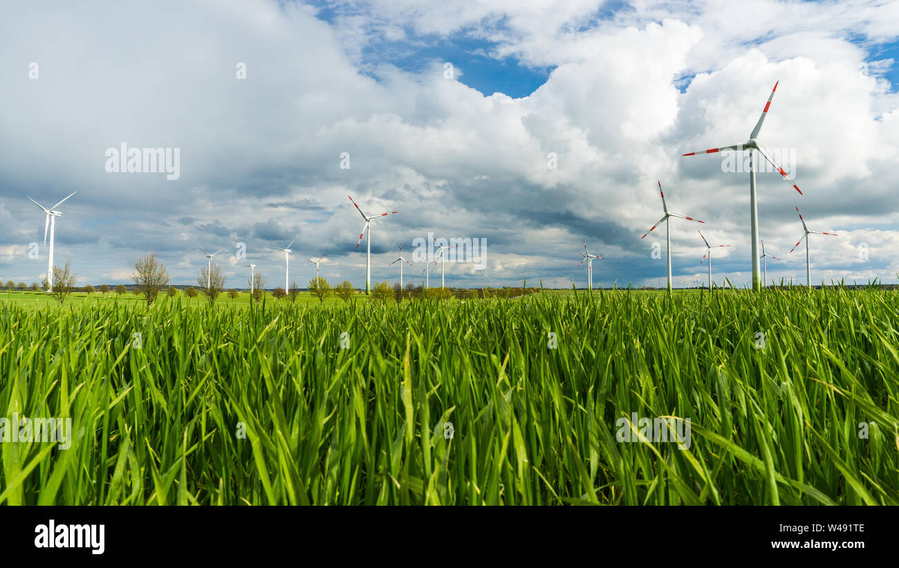 windmills on a field Stock Photo - Alamy