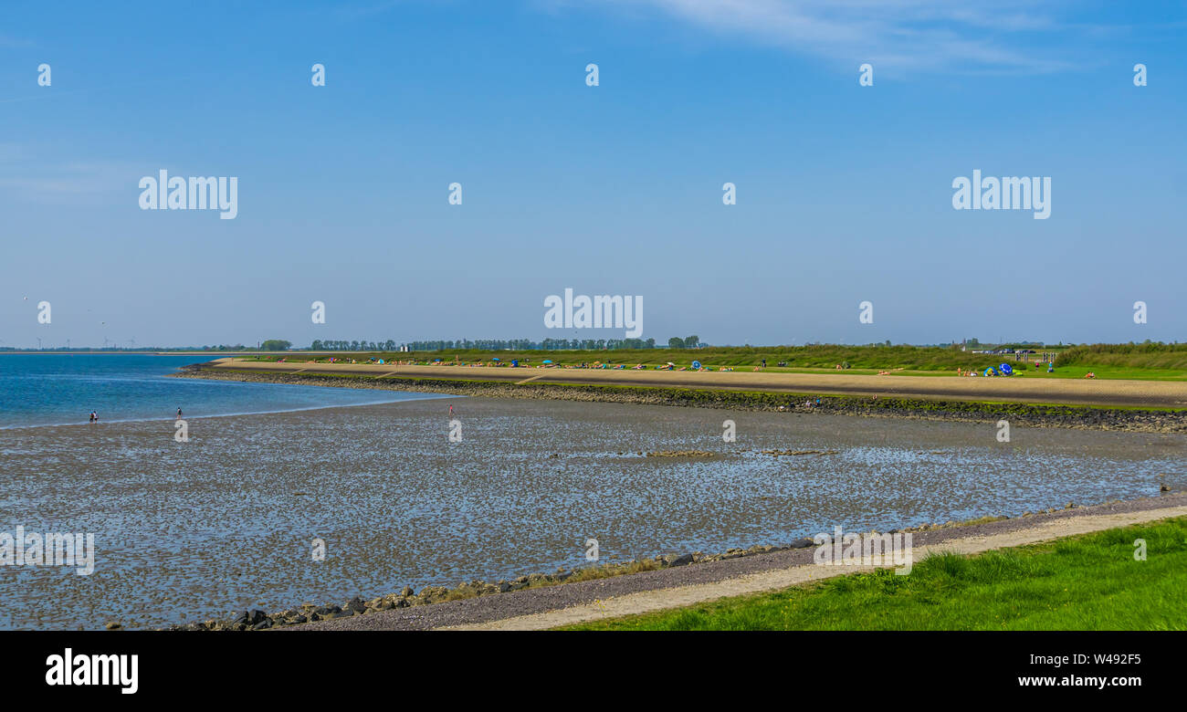 The beach of tholen with visitors, popular beach in zeeland, Bergse ...