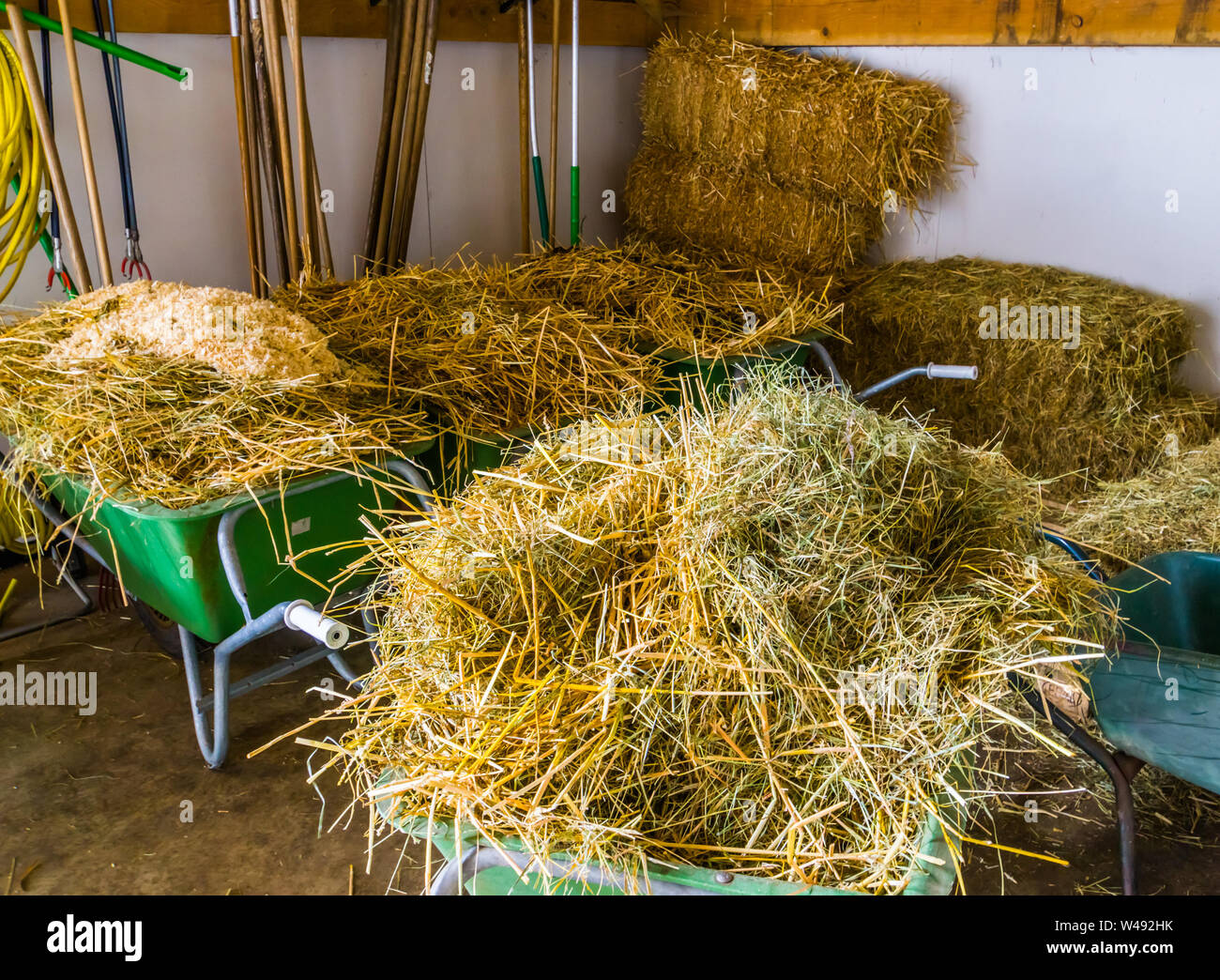 hay storage in a barn, bales of hay, agriculture background, farm ...