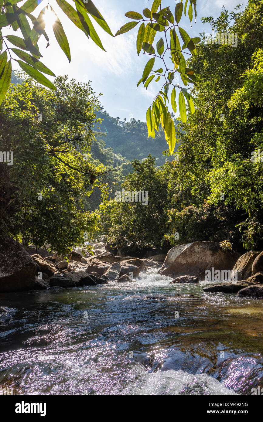 Waterfall water flow in rocks with green forests. This image is taken ...