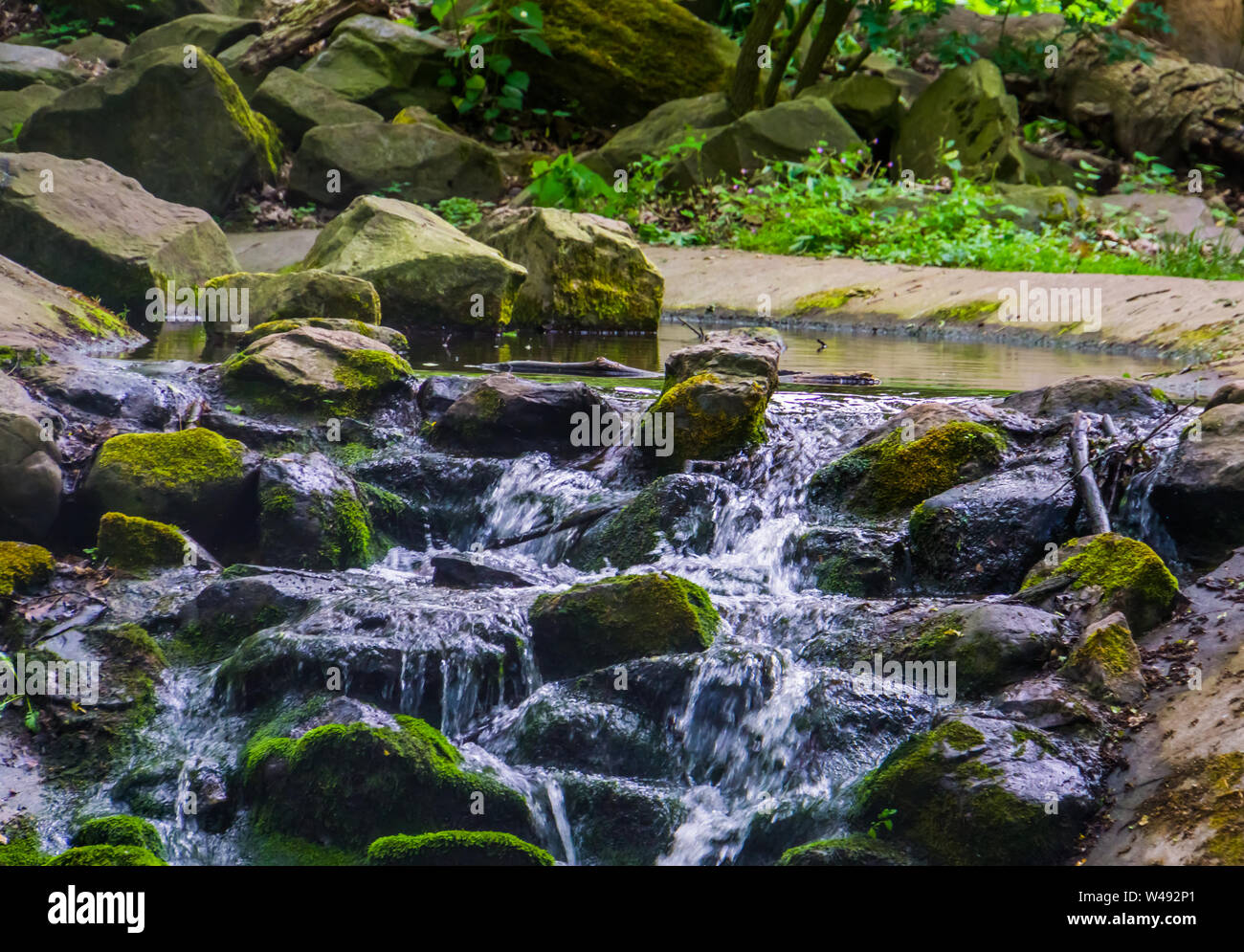 Beautiful waterfall stream with rocks covered in green moss, nature ...