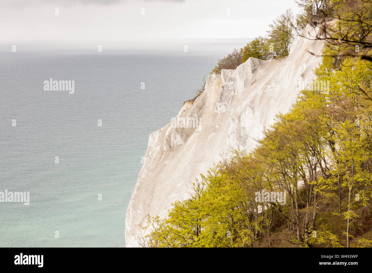 White cliffs - Mons, Denmark, Europe Stock Photo - Alamy