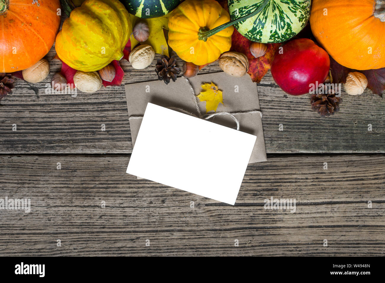 blank greeting card and envelope with Thanksgiving Autumn Fall ...