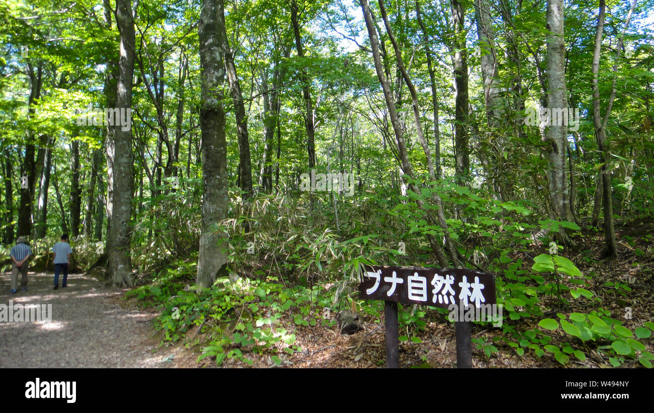 Juniko Twelve Lakes in the Shirakami-Sanchi mountainous area. A UNESCO ...