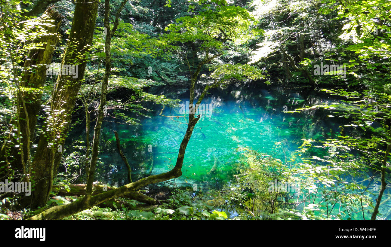 Juniko Twelve Lakes in the Shirakami-Sanchi mountainous area. A UNESCO ...
