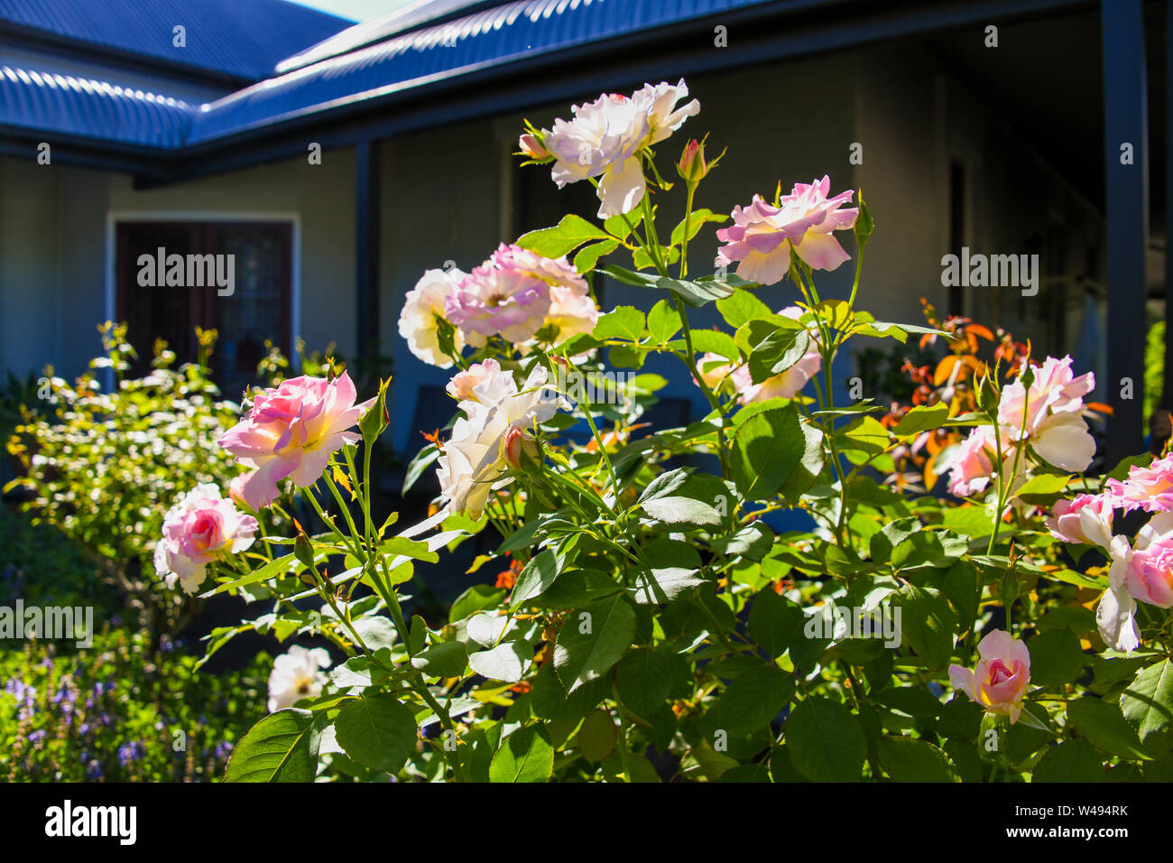 Australian architecture house veranda hi-res stock photography and ...