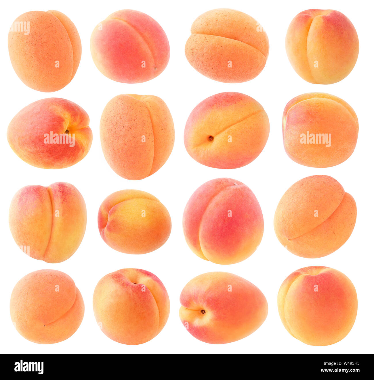 Isolated apricot fruits. Collection of apricots isolated over white ...