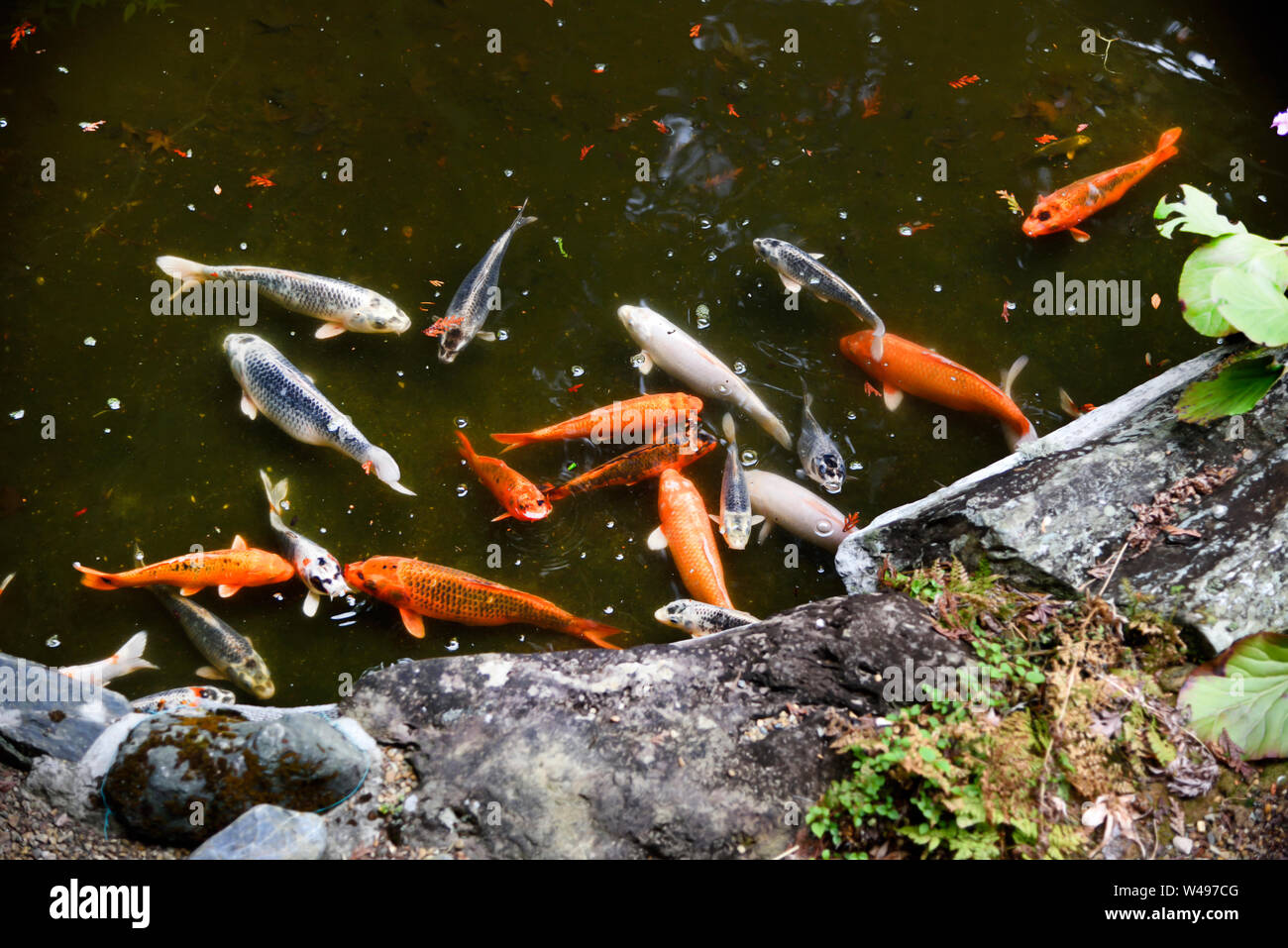 Pond of monastery hi-res stock photography and images - Alamy