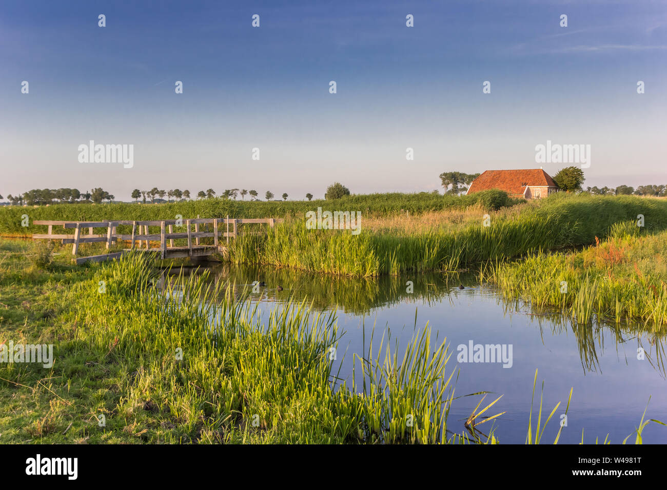 Small wooden bridge in the landscape of Groningen, Netherlands Stock ...