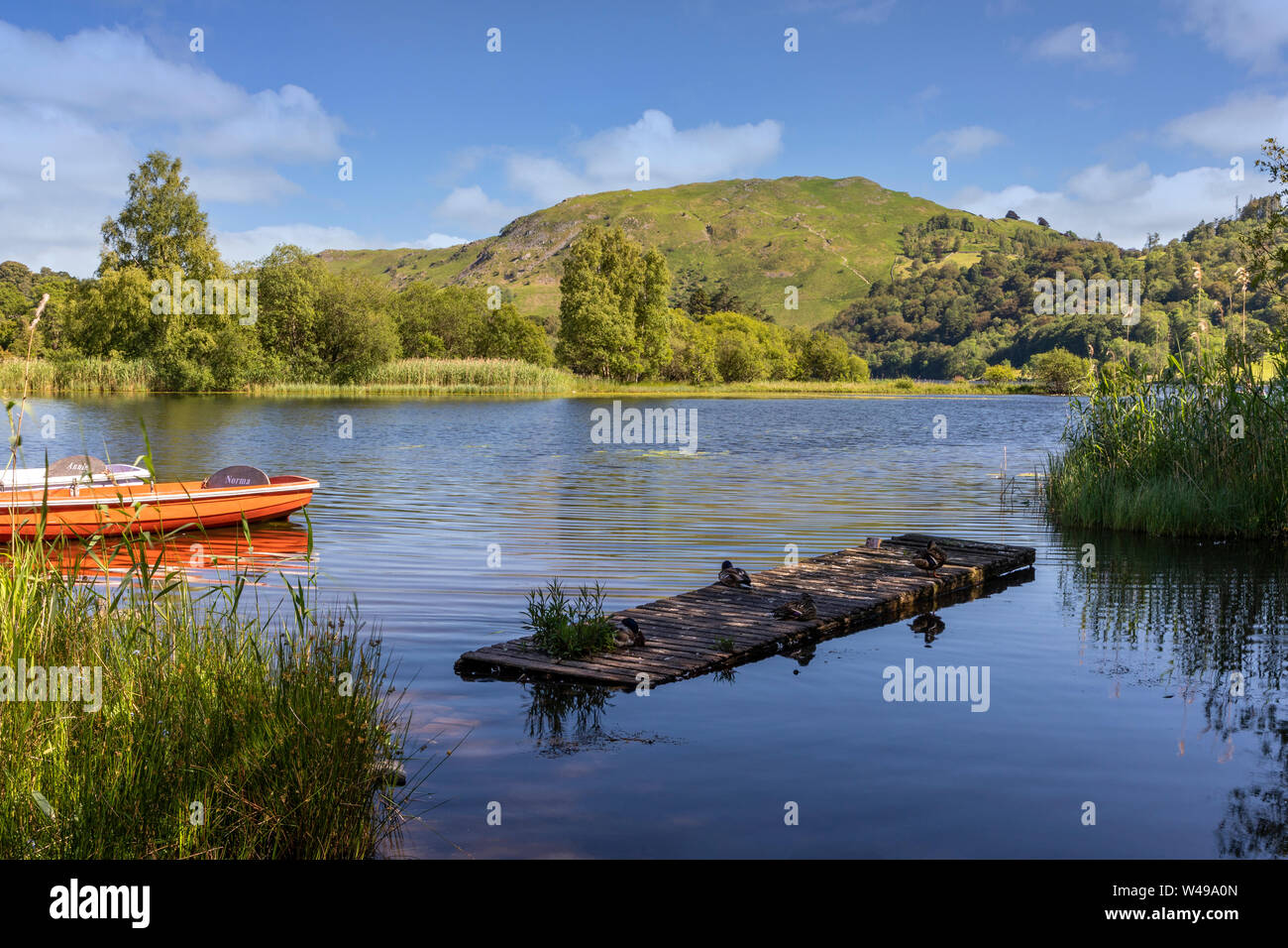 old landing stage and pleasure boats on Grasmere looking towards ...