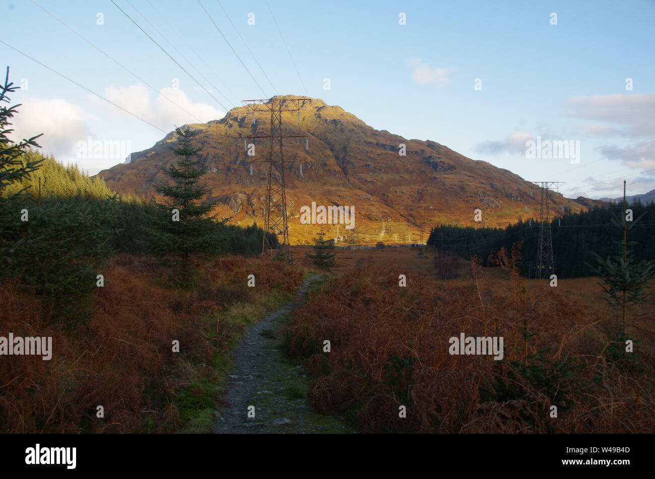 The Loch Lomond and Cowal Way. Cowal peninsula. Highlands. Scotland. UK ...
