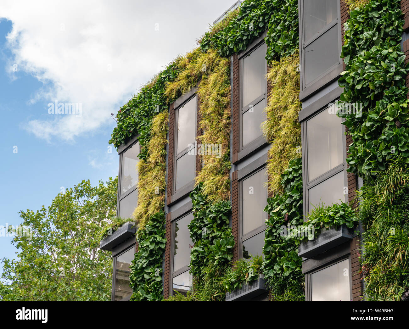 Planted with grass facade hi-res stock photography and images - Alamy