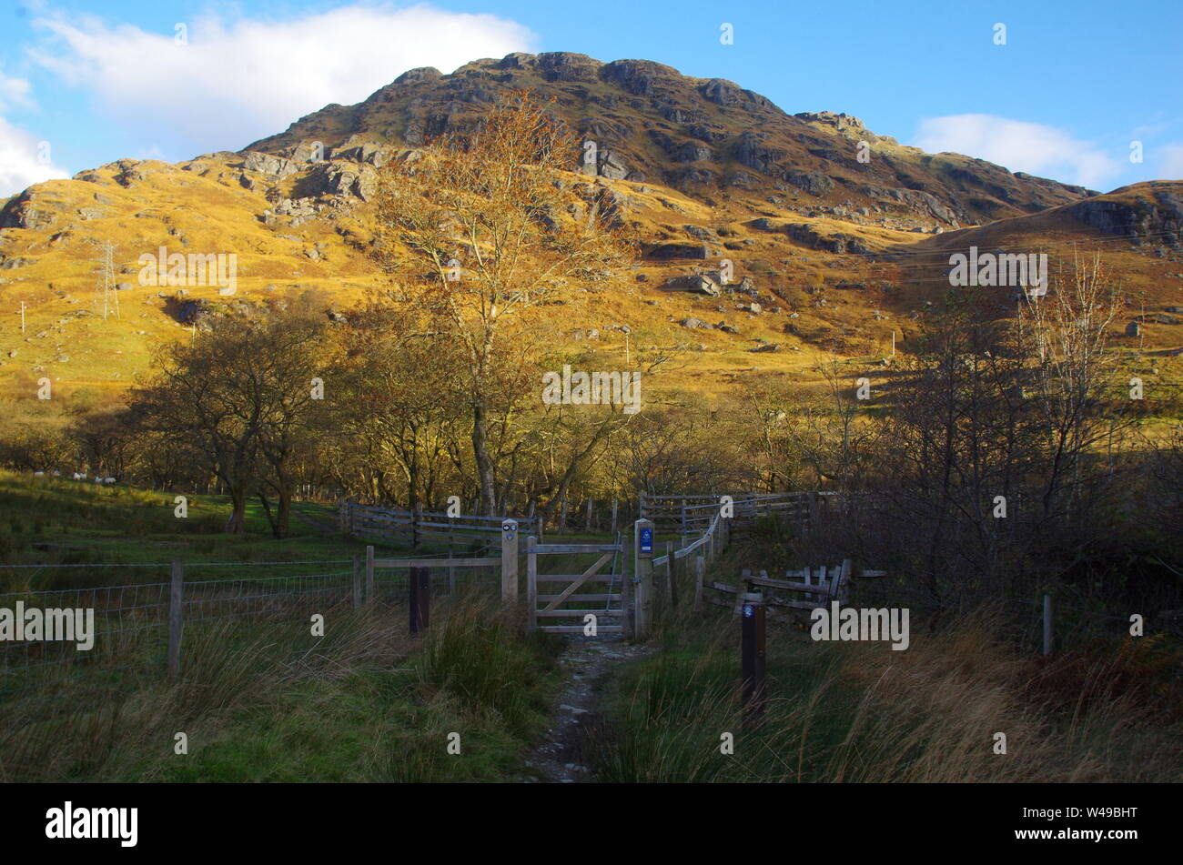 The Loch Lomond and Cowal Way. Cowal peninsula. Highlands. Scotland. UK ...
