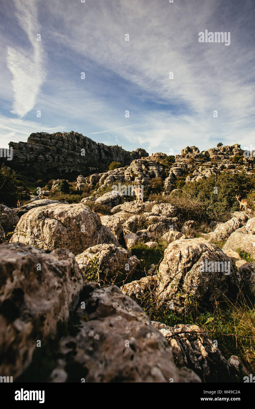 Karst landscape with limestone rock formations Stock Photo - Alamy