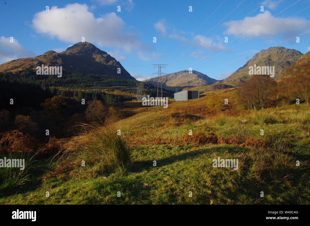 The Loch Lomond and Cowal Way. Cowal peninsula. Highlands. Scotland. UK ...