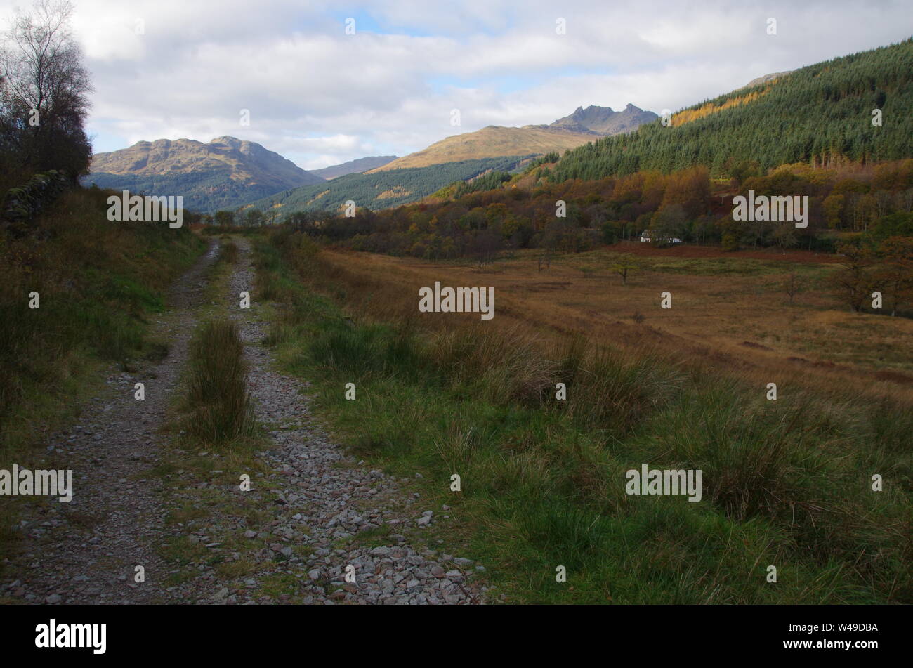 The Loch Lomond and Cowal Way. Cowal peninsula. Highlands. Scotland. UK ...