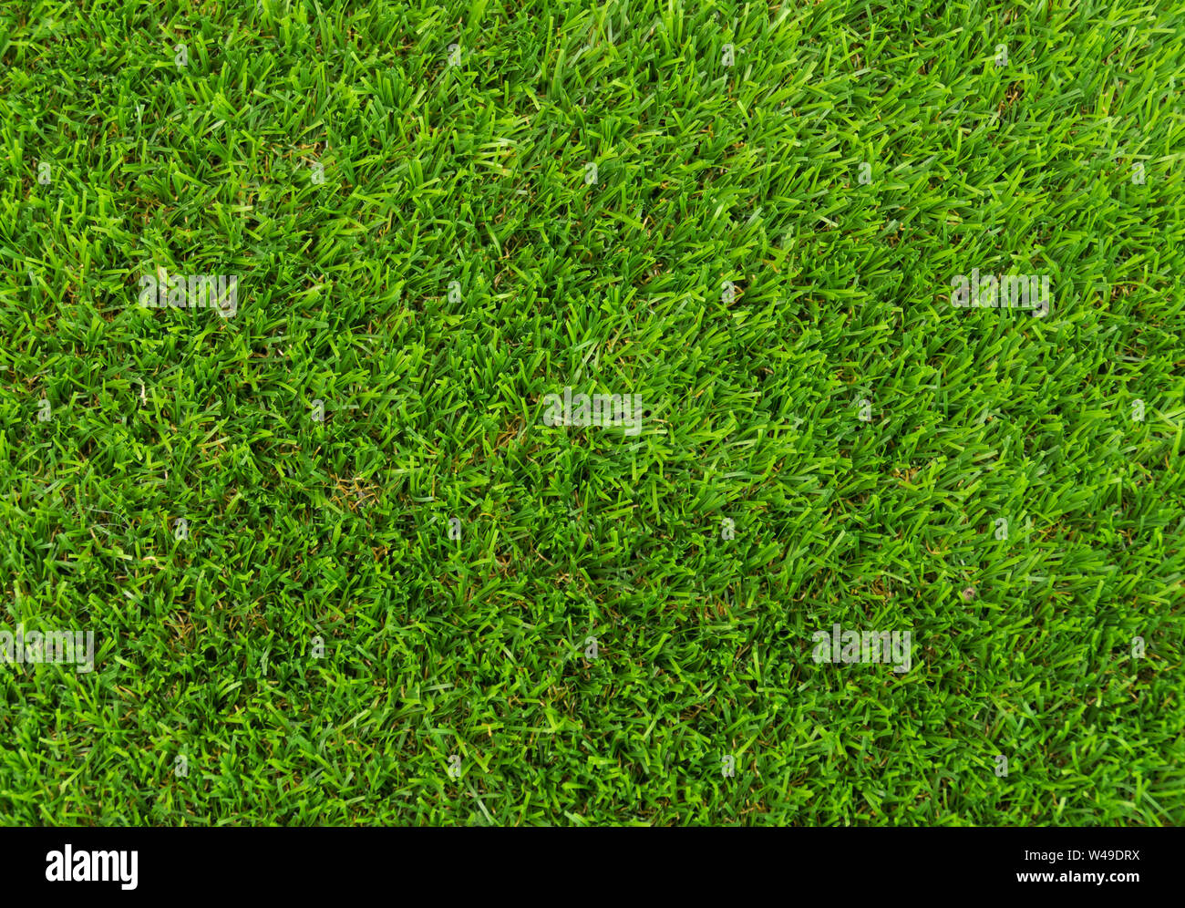 Green grass texture from soccer hi-res stock photography and images - Alamy