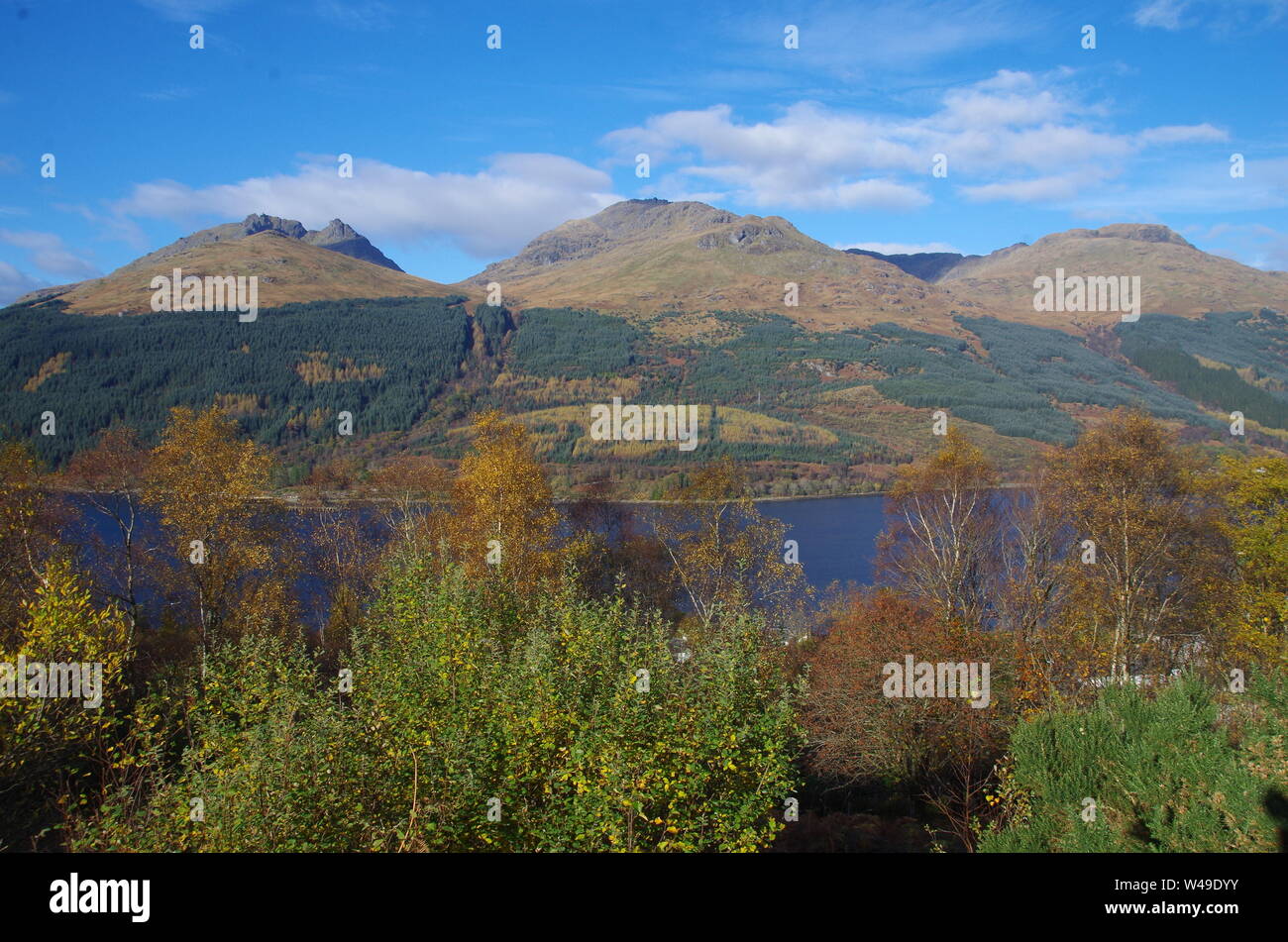 The Loch Lomond and Cowal Way. Cowal peninsula. Highlands. Scotland. UK ...