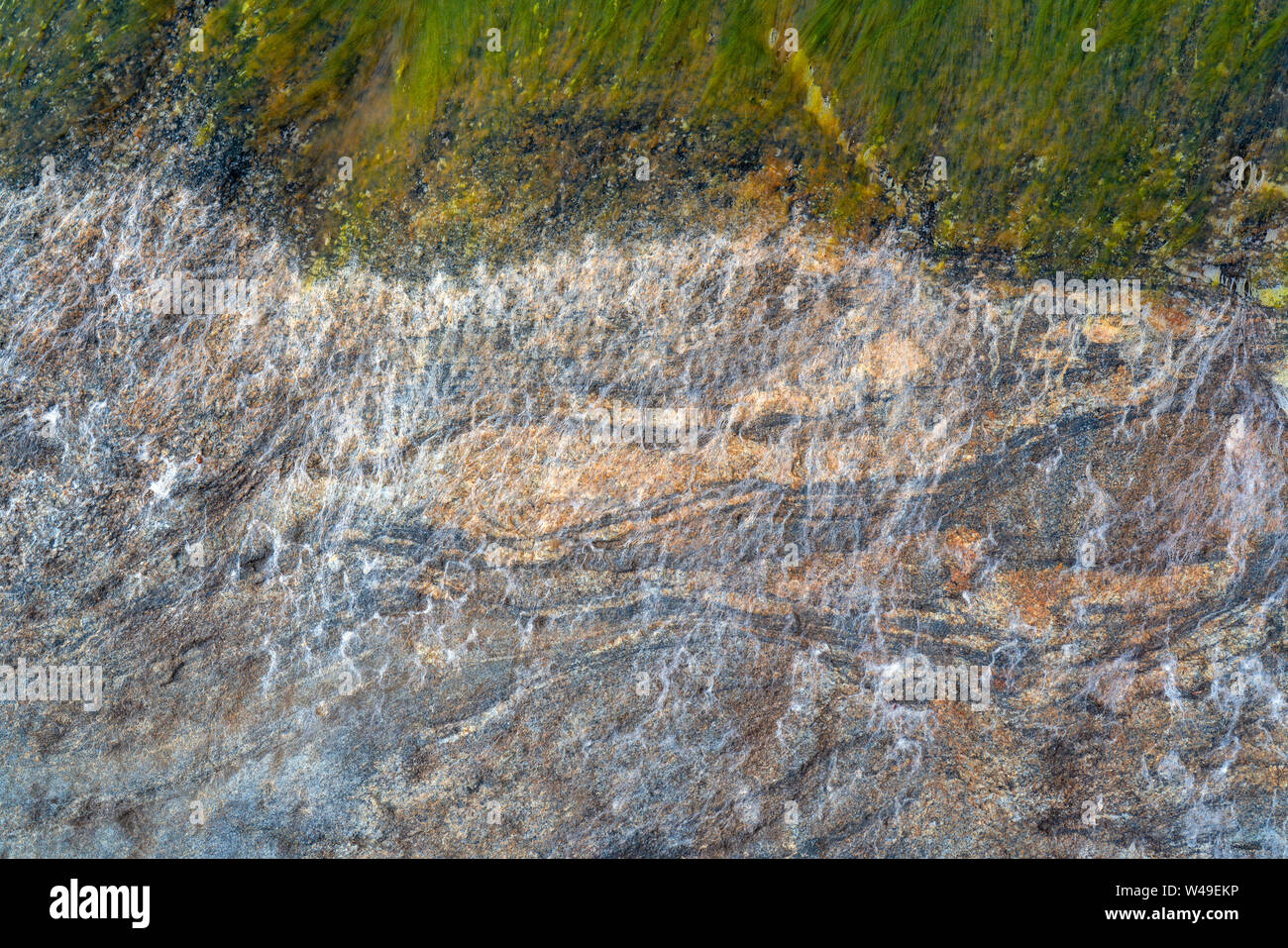 Green algae on the surface of a beautiful pink stone Stock Photo - Alamy