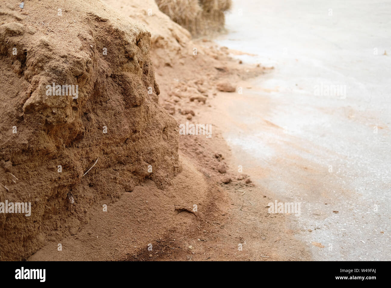 sawdust substrate for growing edible mushroom in farm Stock Photo - Alamy