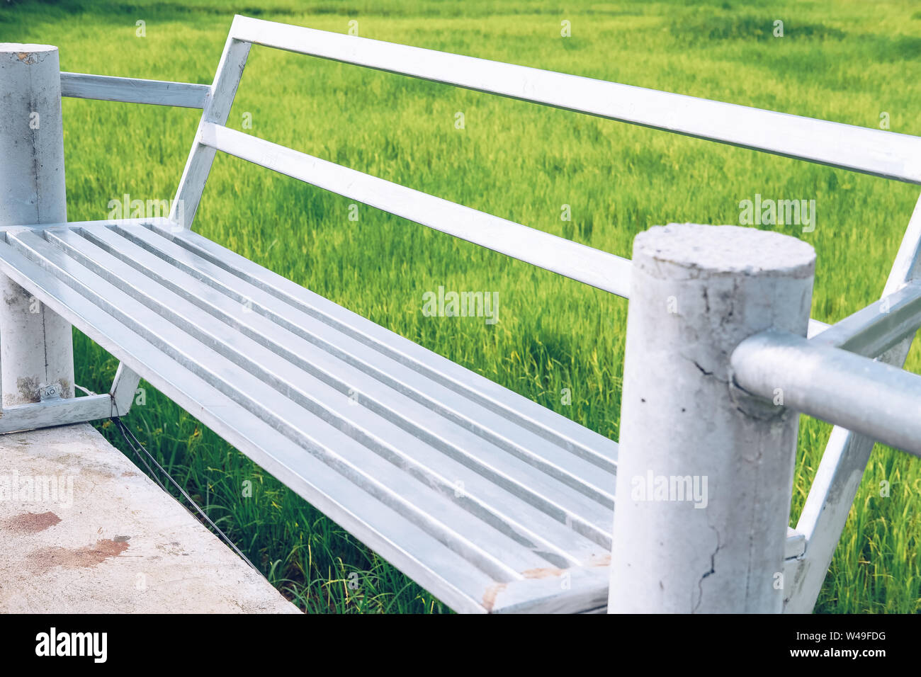 chair bench with rice paddy field view Stock Photo - Alamy