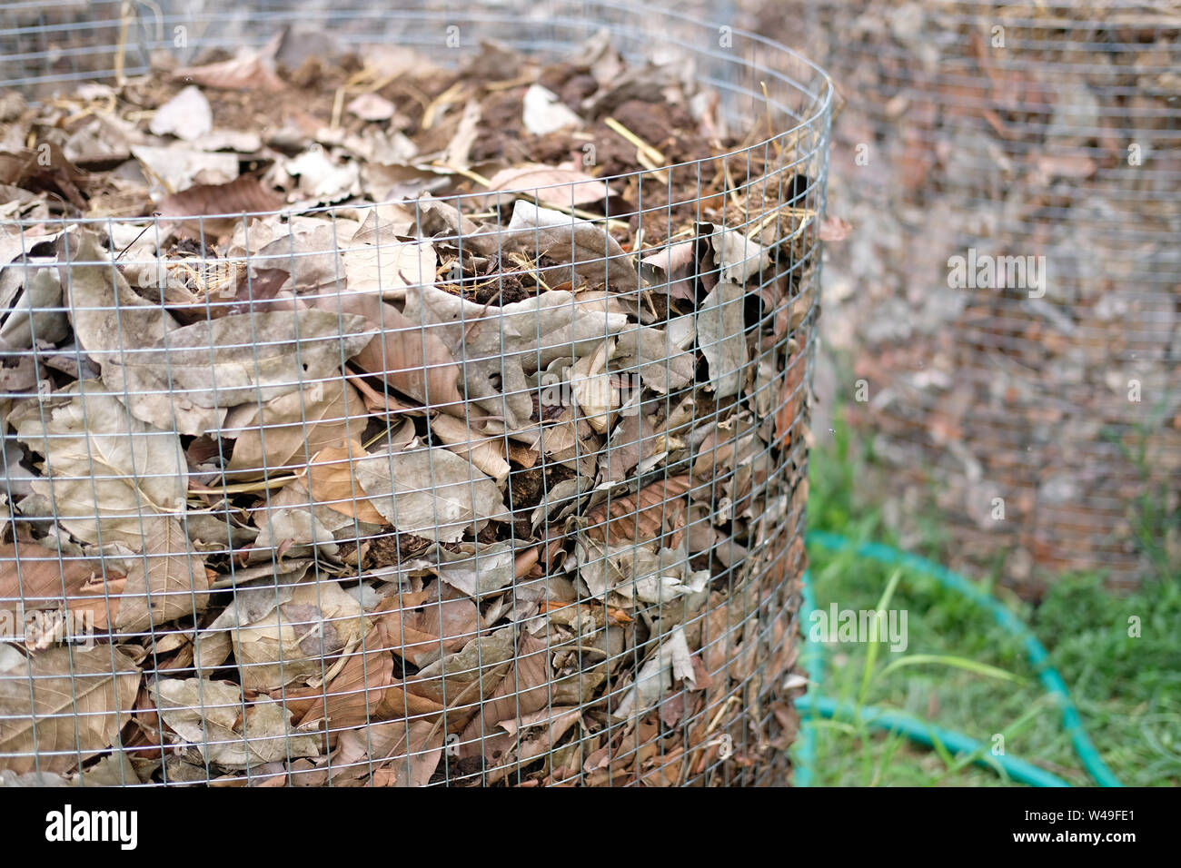 organic compost heap. fertilizer production for soil cultivation in ...